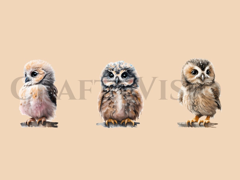 Watercolor Owl Clipart Baby Owls Png Printable Image - Etsy