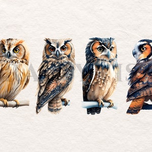 Watercolor Owls, Clipart, Png, Printable Image, Digital Download ...