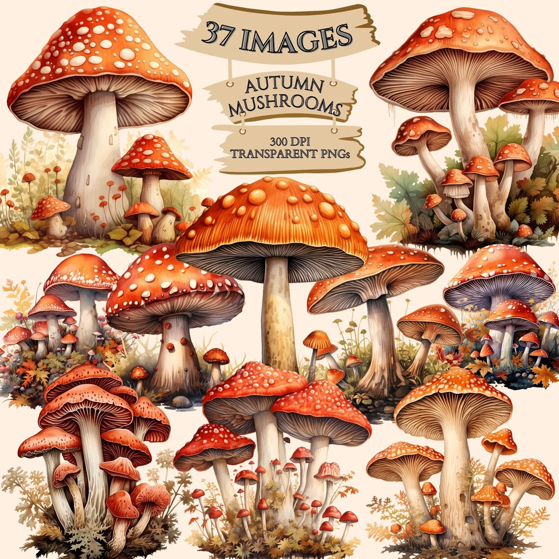 Watercolor Autumn Mushrooms Clipart, Fall Season, Nature, Forest, PNG ...