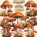 Watercolor Autumn Mushrooms Clipart, Fall Season, Nature, Forest, PNG ...
