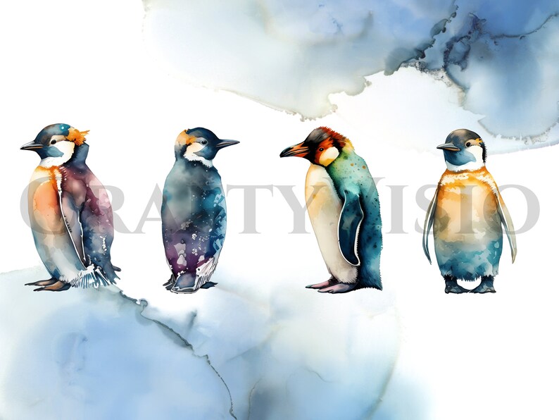 Penguin Watercolor Clipart, Instant Download, Digital File, PNG Bundle ...