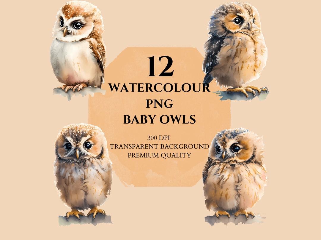 Watercolor Owl Clipart, Baby Owls, Png, Printable Image, Digital ...
