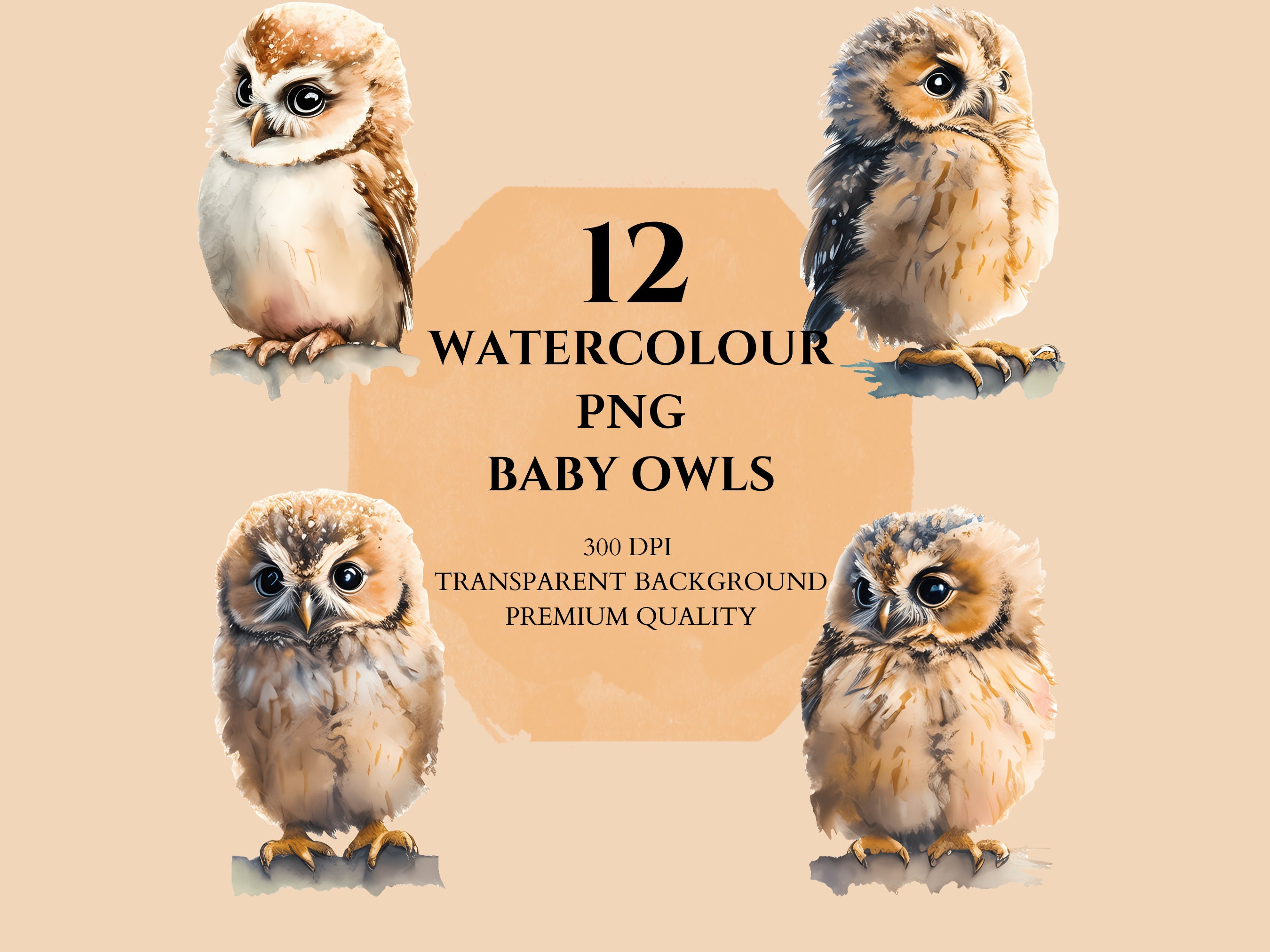 Watercolor Owl Clipart, Baby Owls, Png, Printable Image, Digital ...