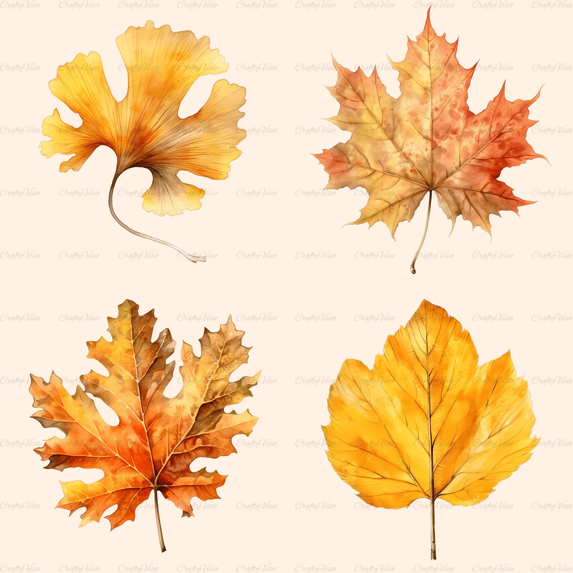 Watercolor Autumn Leaves Fall Clipart Maple Leaf Oak Leaf - Etsy