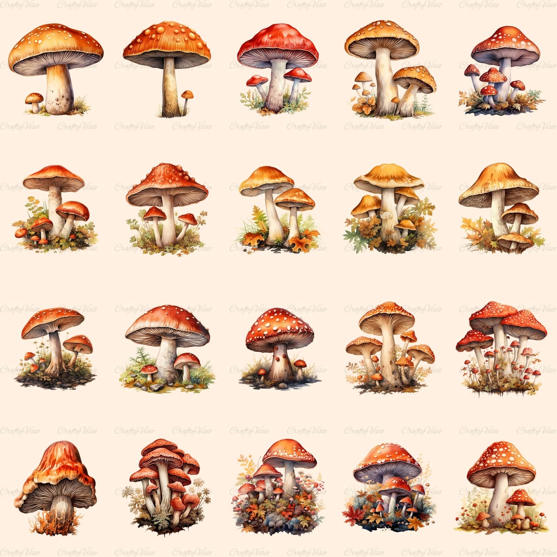 Watercolor Autumn Mushrooms Clipart, Fall Season, Nature, Forest, PNG ...