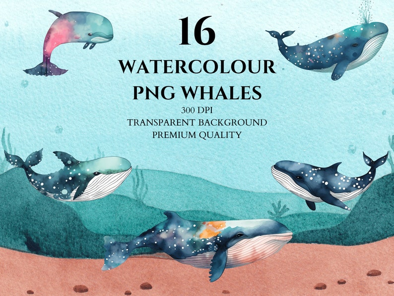 Whale Watercolor Clipart, Ocean Animals, Sea Creatures, Nursery Decor ...