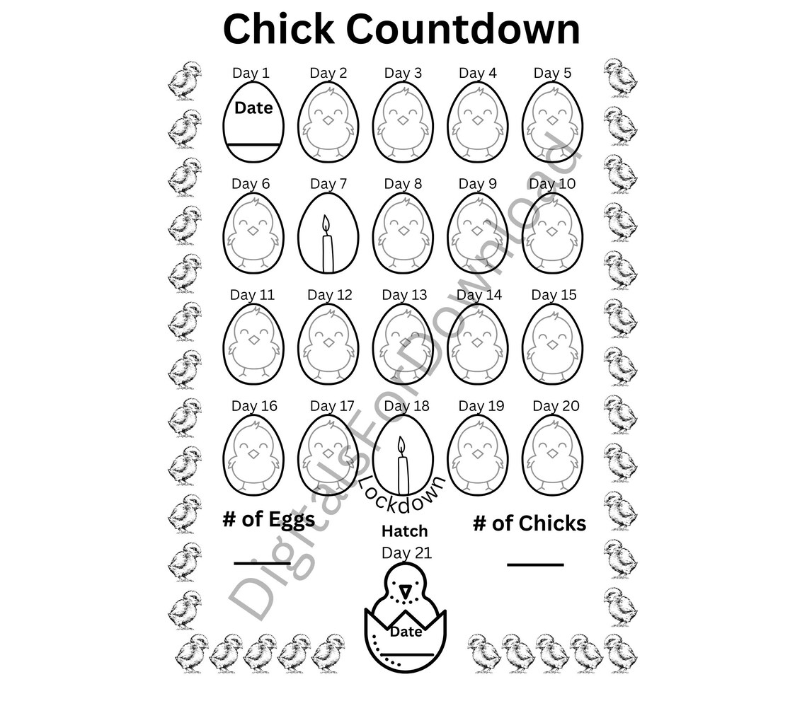 Chicken Chick Countdown PDF Download Coloring Sheet Countdown to Chicks ...