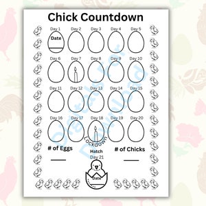 Chicken Chick Countdown PDF Download Coloring Sheet Countdown to Chicks ...