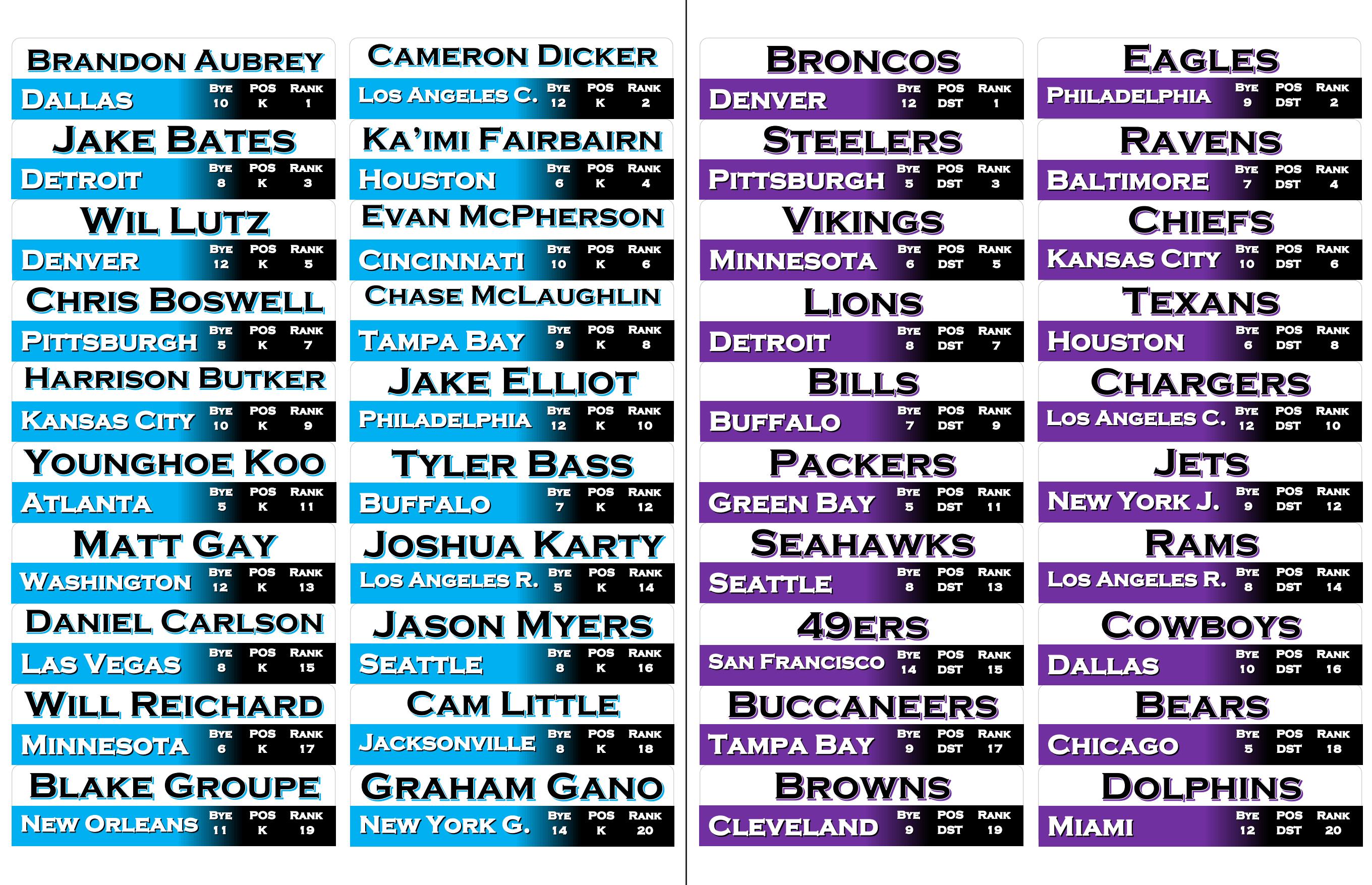 2025 Digital File for Fantasy Football Draft Labels 4"x1" - Etsy