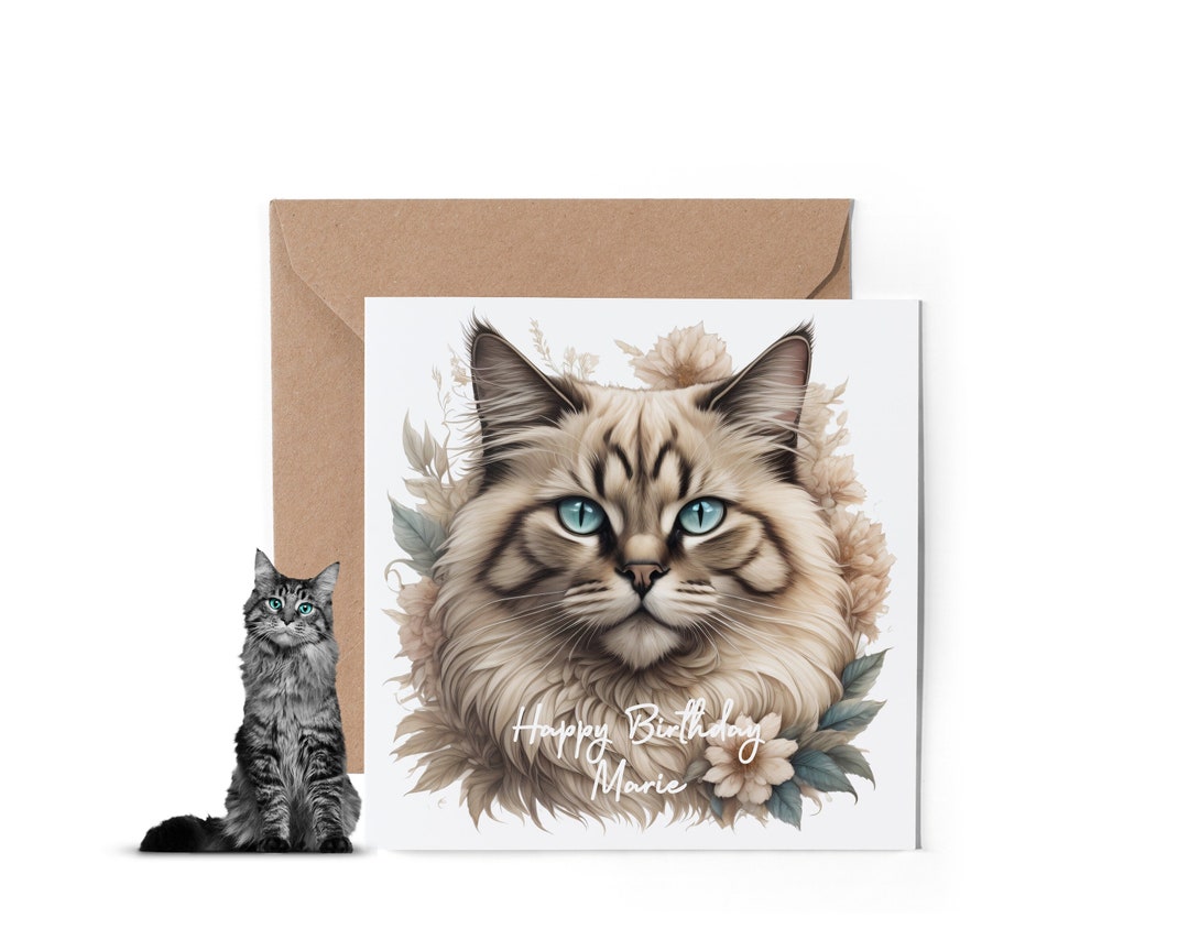 Personalised Birthday Card for Cat Lover Happy Birthday Card for Cat ...