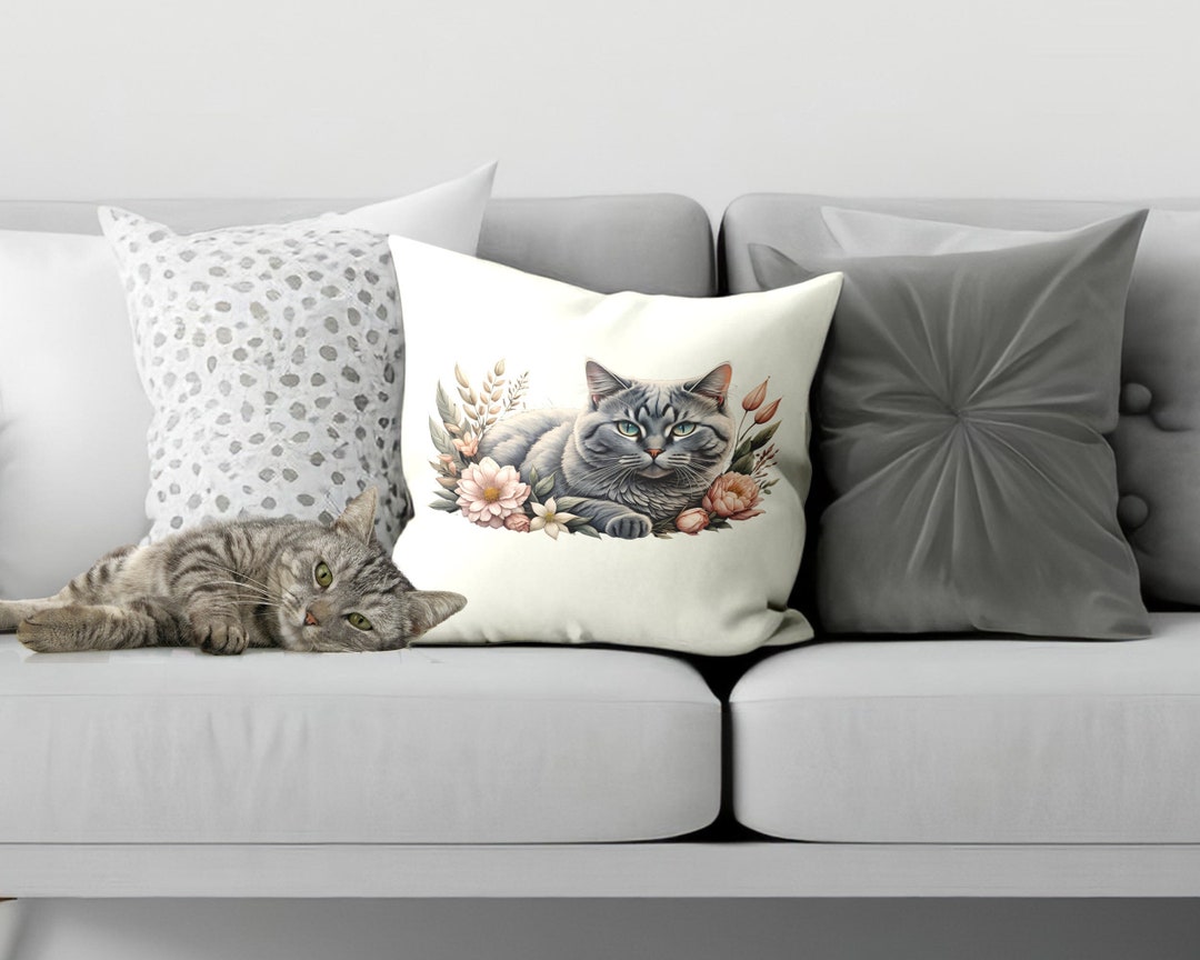 BSH British Short Hair Cat Lover Cushion - Cute Cat Kitten Cushion ...