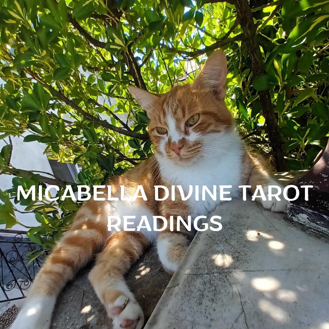 Crush Tarot Reading Micabella Divine Tarot ᚠ - Etsy