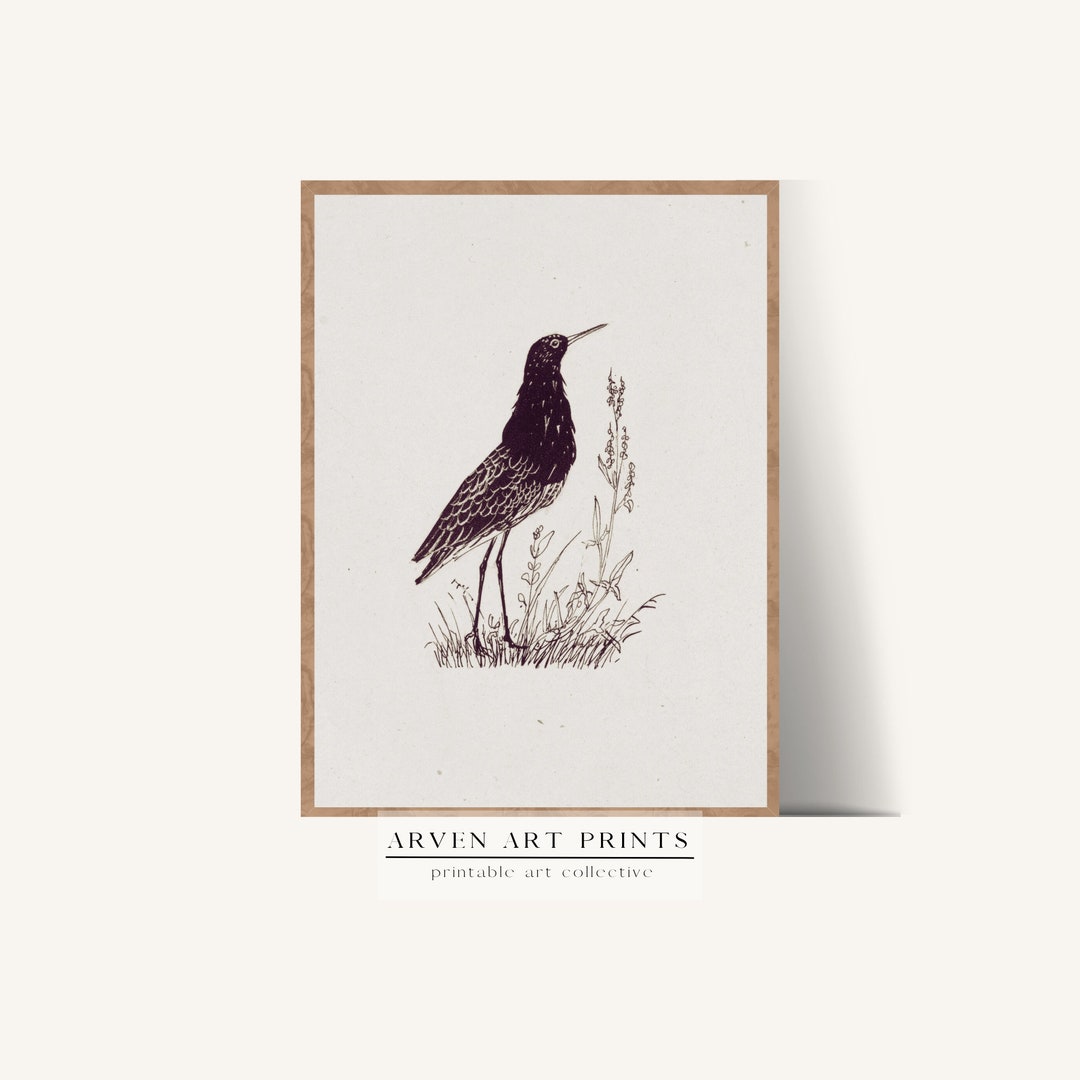 Vintage Antique Minimalist Bird Sktech Painting Digital Home - Etsy