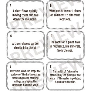 Earth's Spheres Interactions Sorting Activity - Etsy