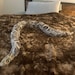 Cynthia the Weighted Snake - Etsy