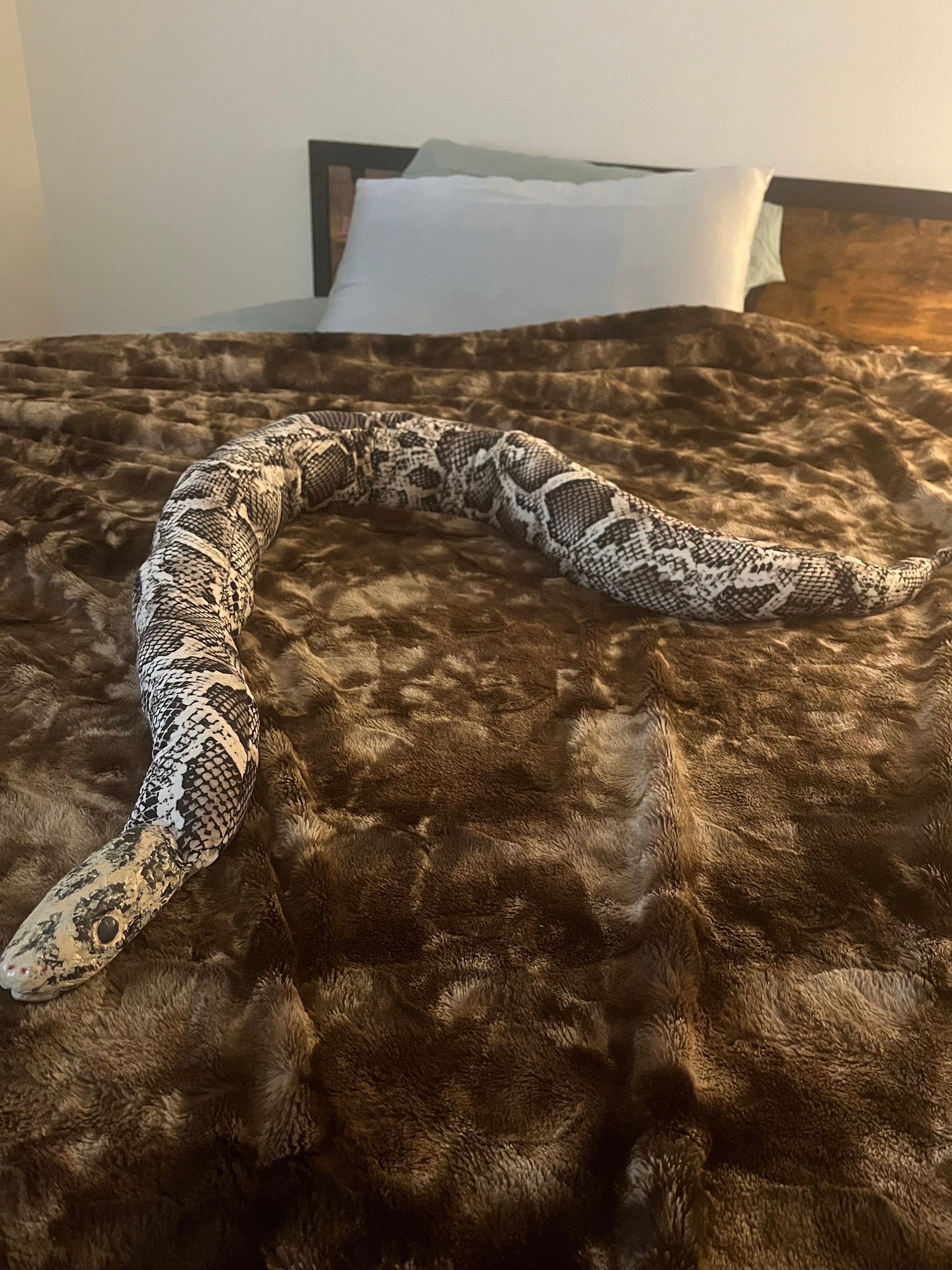 Cynthia the Weighted Snake - Etsy