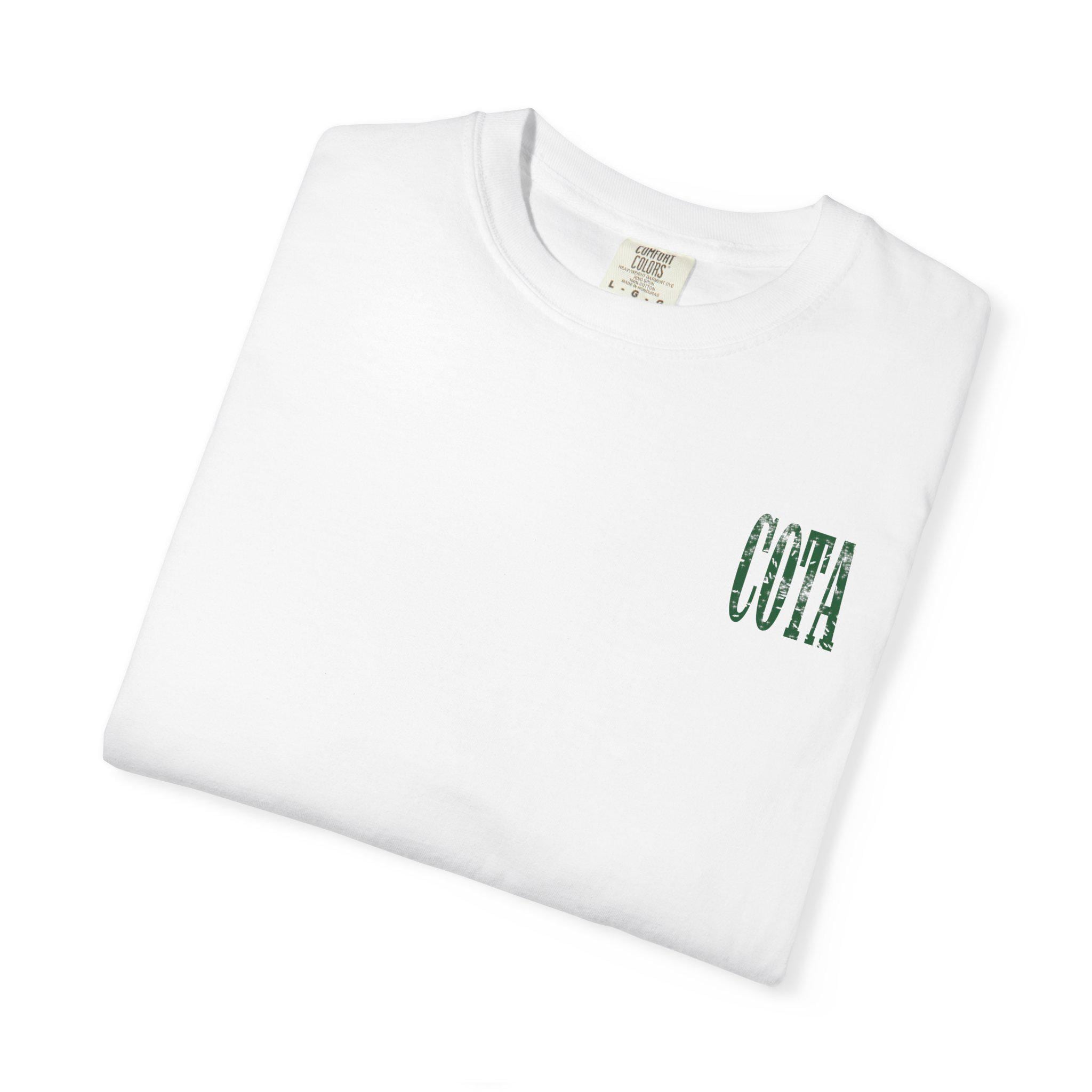 Formula 1 US Grand Prix Design Shirt Aston Martin - Etsy