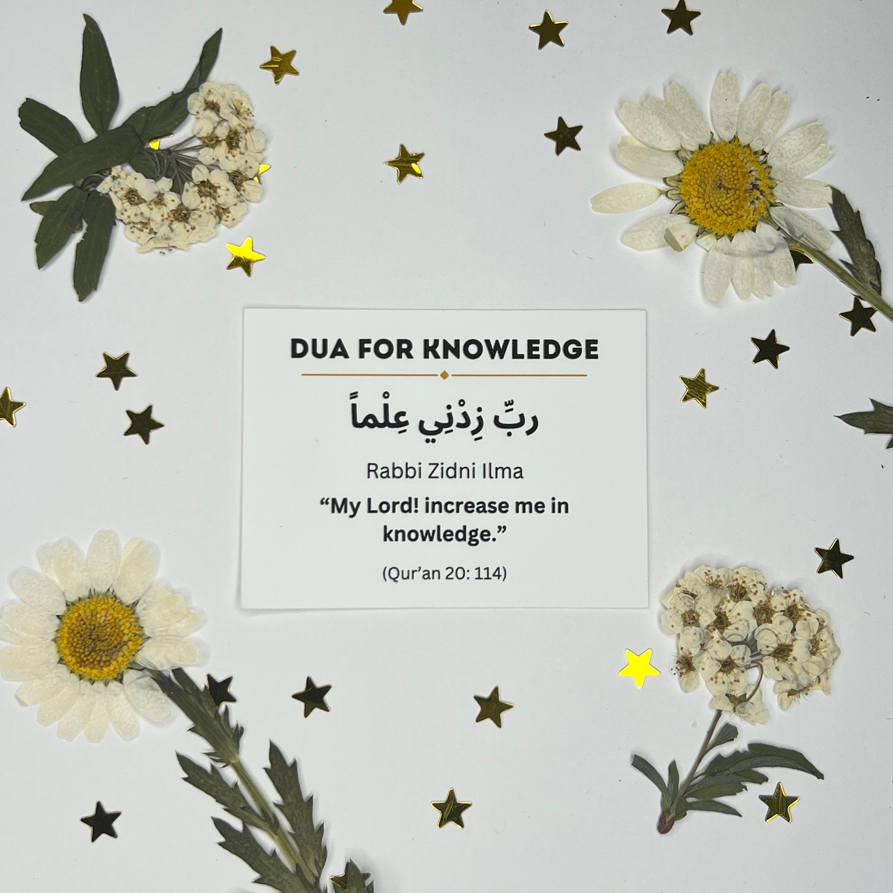 Dua for Increase in Knowledge Sticker | Islamic | Reminders ...