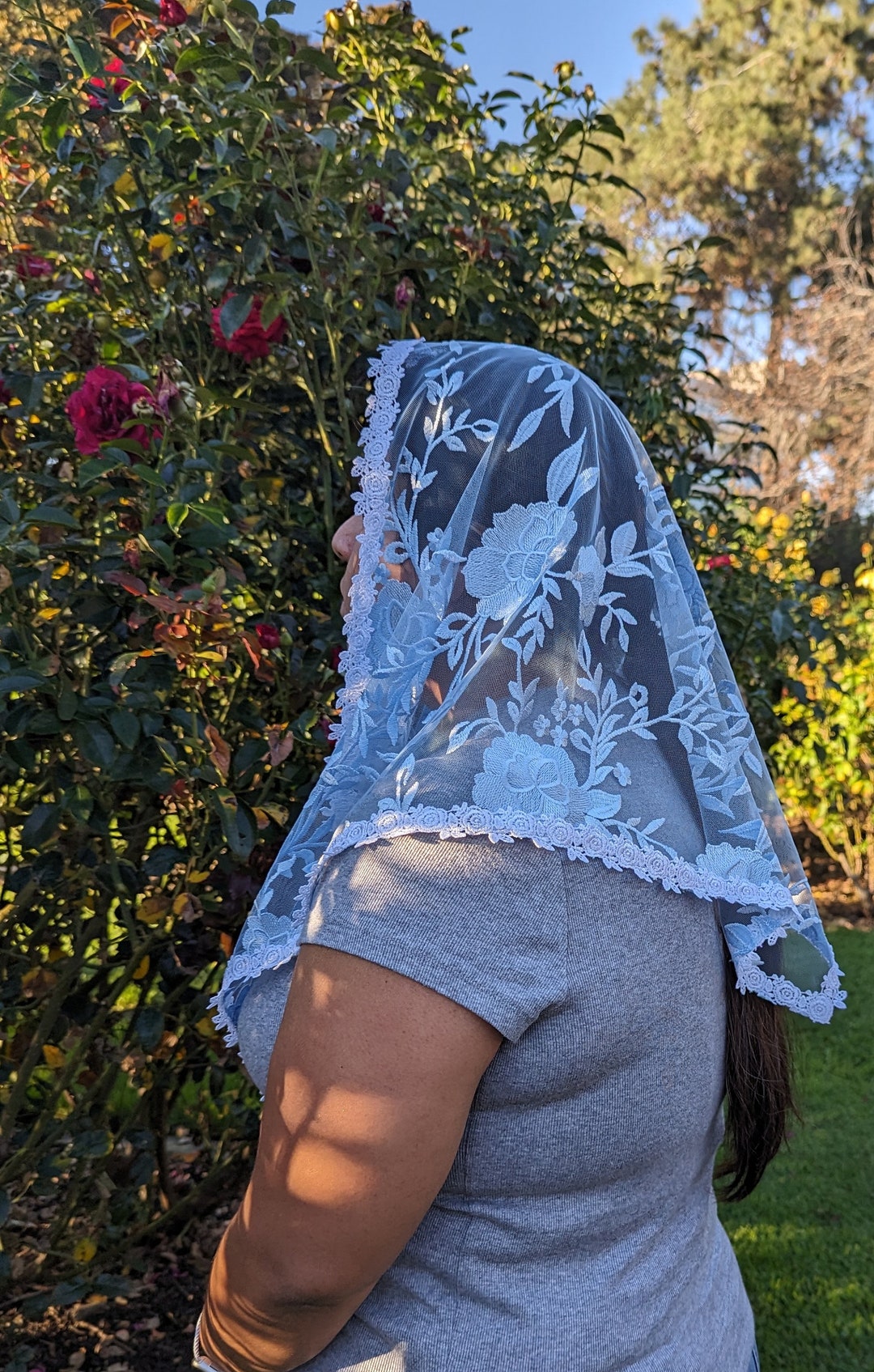 Mary, Queen of Heaven Collection Light Blue With White Trim Veil ...