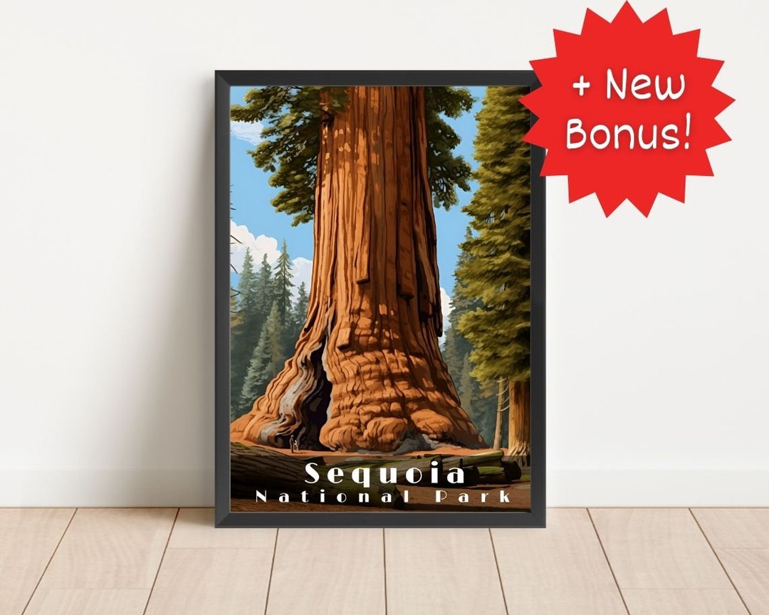 Sequoia National Park Poster Wall Art Travel Poster National Park ...