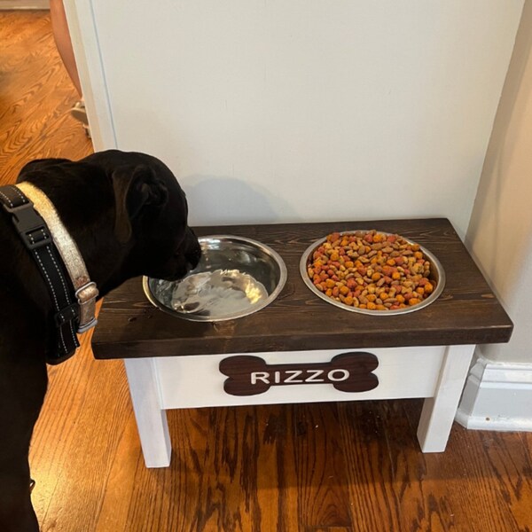 Dog Feeding Station With Storage - Etsy