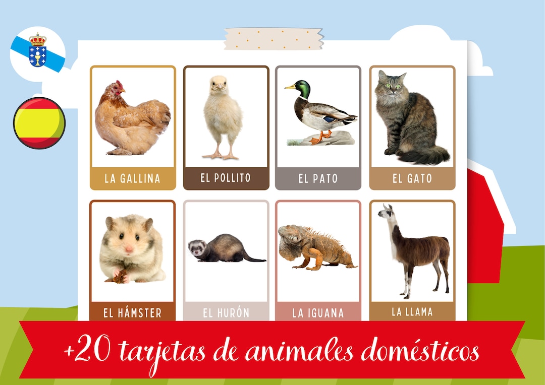 Educational Pets Cards for Kids Galician and Spanish Printable Cards ...