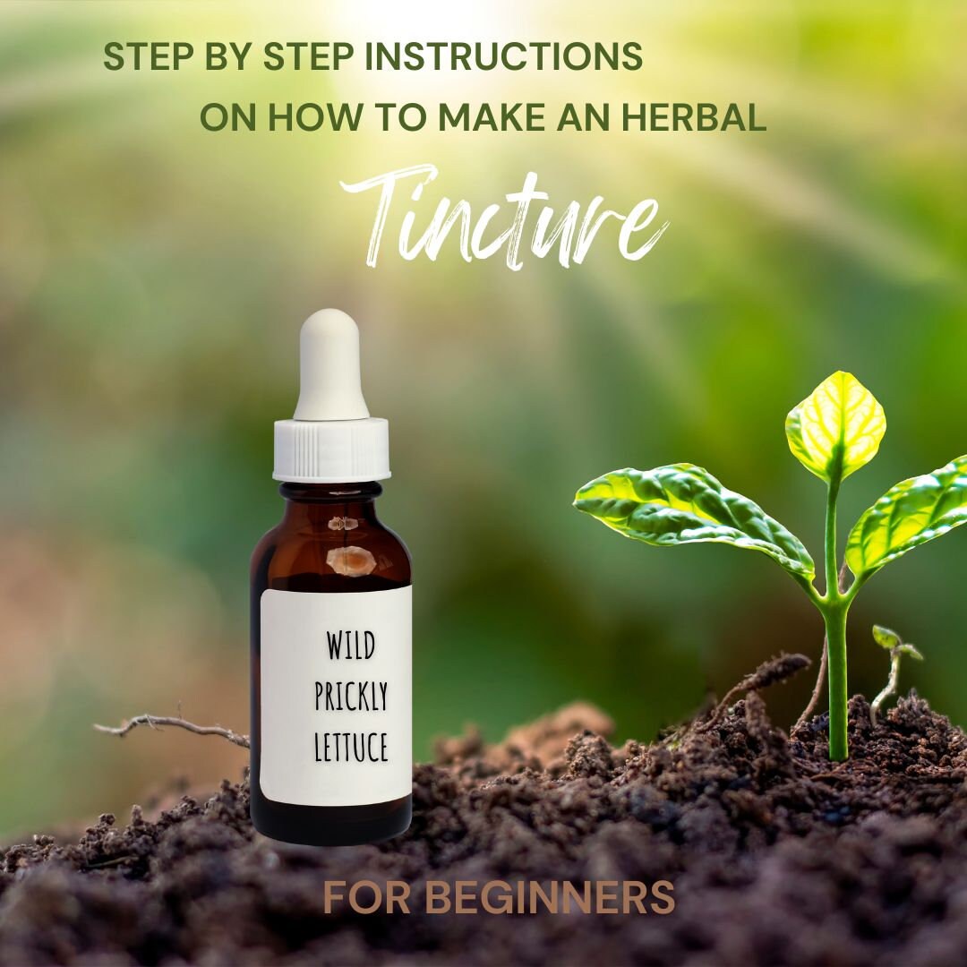 A Step by Step Guide on How to Make Tinctures - Etsy