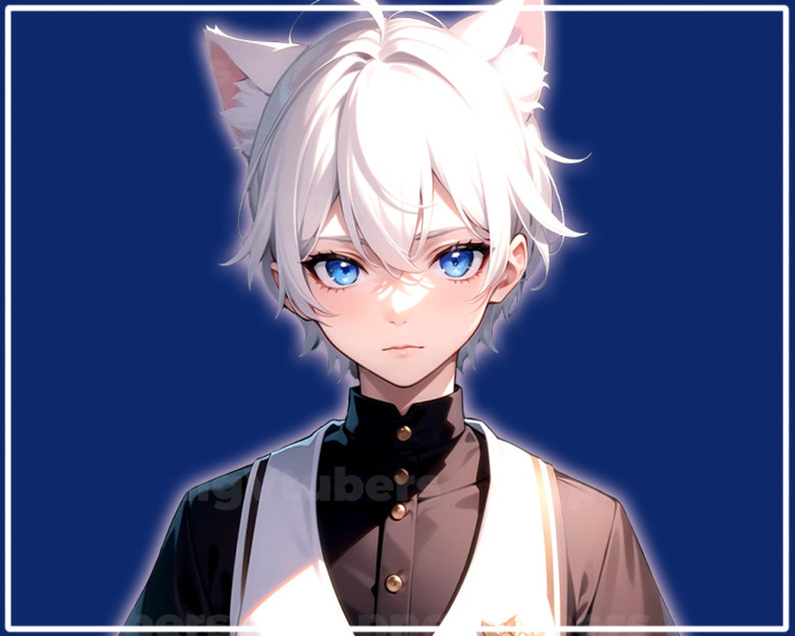 Pngtuber, White Cat Neko Boy 2d Vtuber / Premade & Presetup Model With ...