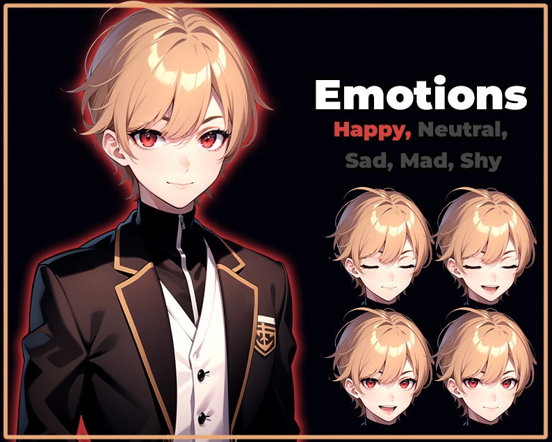 Pngtuber Academic Boy 2d Vtuber / Premade & Presetup Model - Etsy Canada