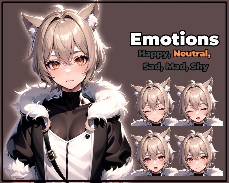 Snowy Wolf Pngtuber Model: Androgynous Neko Vtuber With Expressions - Etsy