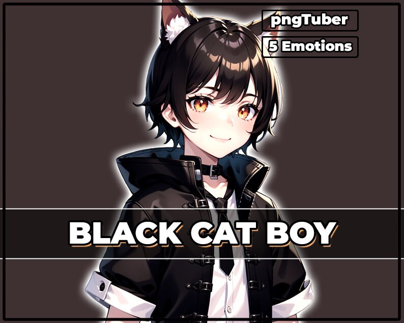 Pngtuber Black Cat Neko Boy 2d Vtuber / Premade & Presetup - Etsy