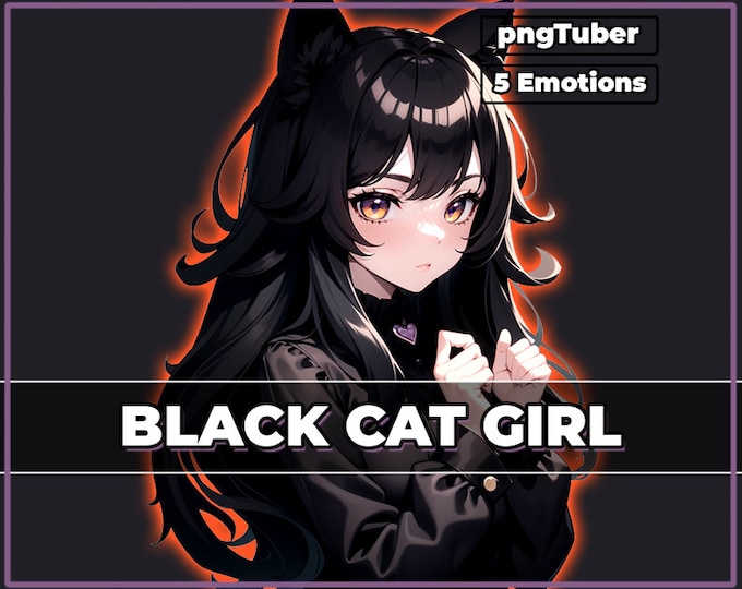 Premade Live 2d Vtuber Model Cute Bun Anime Girl for Vtubing Streaming ...