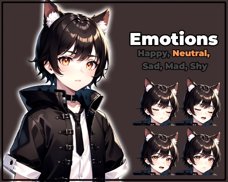 Pngtuber, Black Cat Neko Boy 2d Vtuber / Premade & Presetup Model With ...
