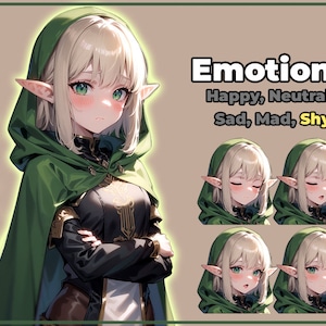 Pngtuber, Wood Elf Girl 2d Vtuber / Premade & Presetup Model With 5 ...