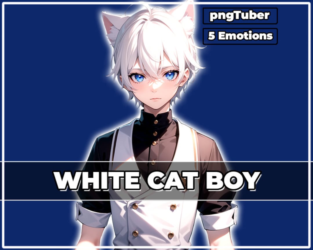 Pngtuber, White Cat Neko Boy 2d Vtuber / Premade & Presetup Model With ...