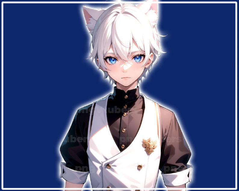 Pngtuber, White Cat Neko Boy 2d Vtuber / Premade & Presetup Model With ...