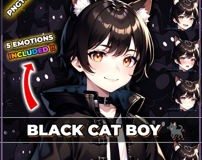 Pngtuber, Black Cat Neko Boy 2d Vtuber / Premade & Presetup Model With ...
