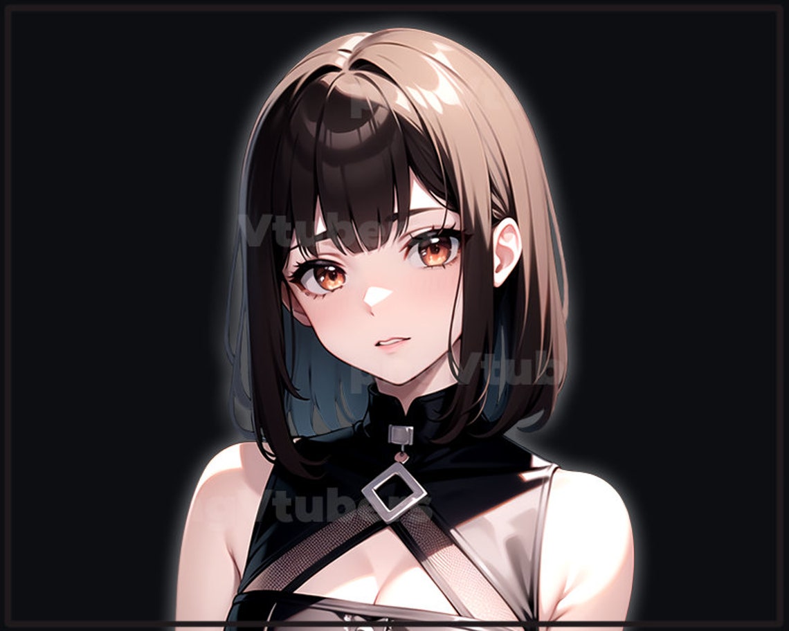 Pngtuber Soft Goth Girl 2d Vtuber / Premade & Presetup Model - Etsy ...