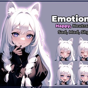 Pngtuber, White Fox Girl 2d Vtuber / Premade & Presetup Model With 5 ...