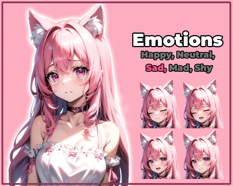 PngTuber, Pink Cat Girl Neko 2d Vtuber / Modelo prefabricado y ...