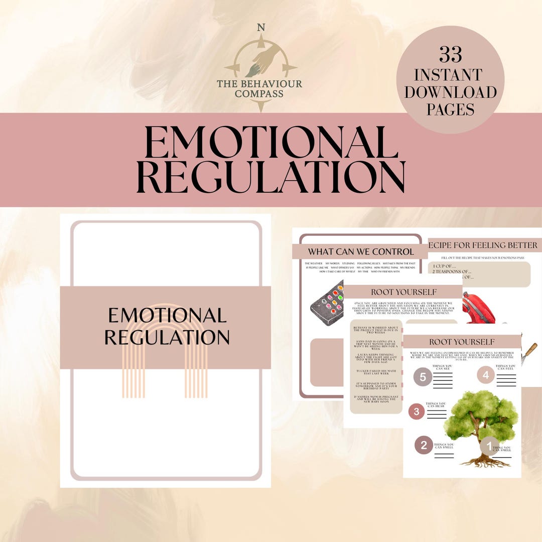 Emotional Regulation Lesson & Worksheets - Etsy