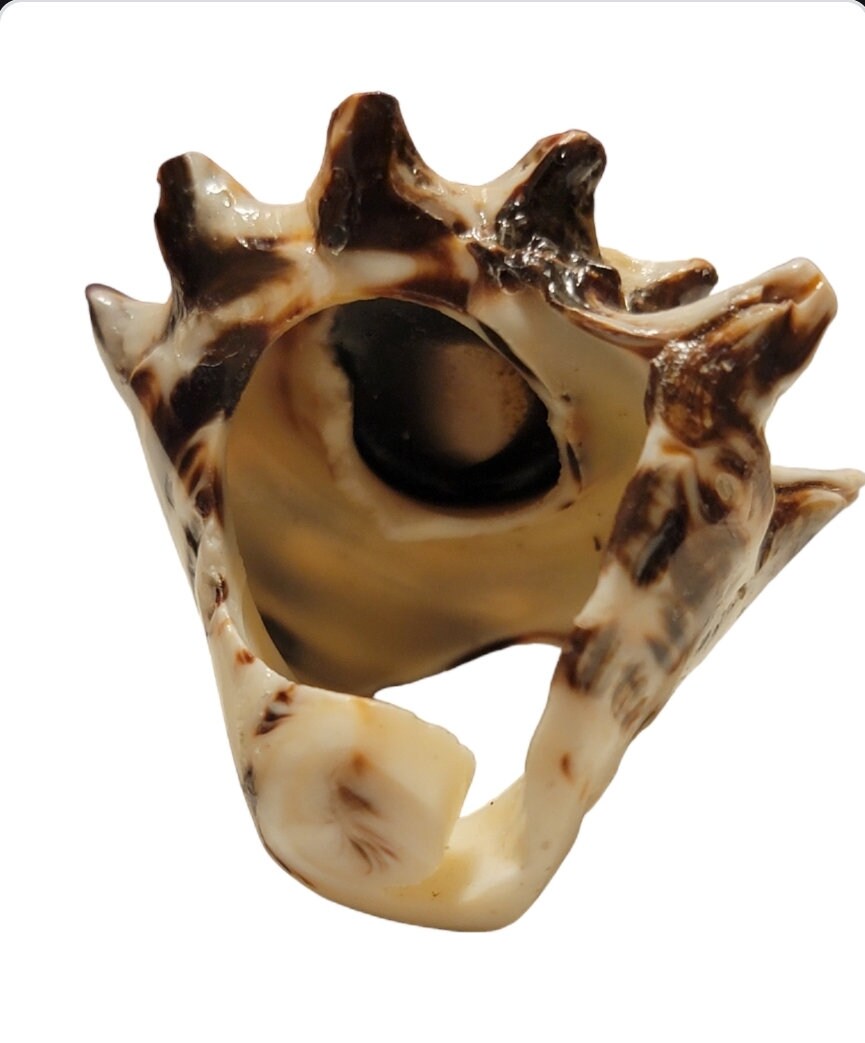 NATIVE TAINO/TAINA Spiral of Life Conch Shell Ring - Etsy