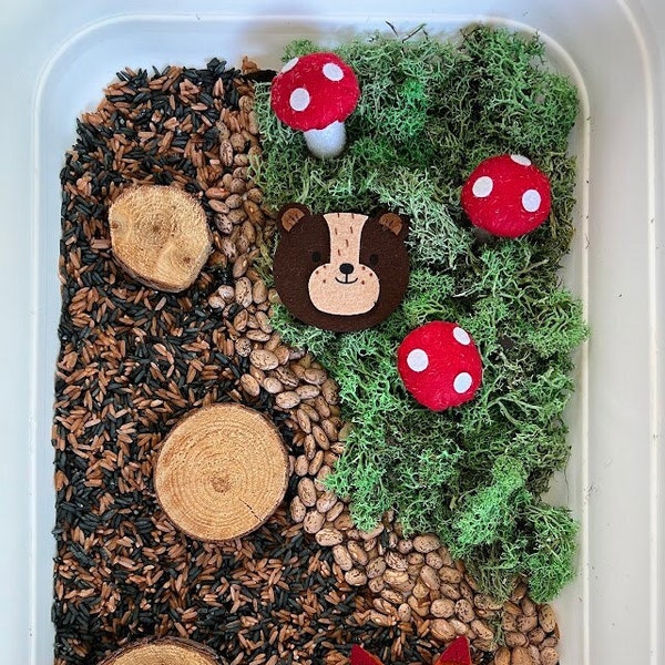 Sensory Bin Woodlands - Etsy