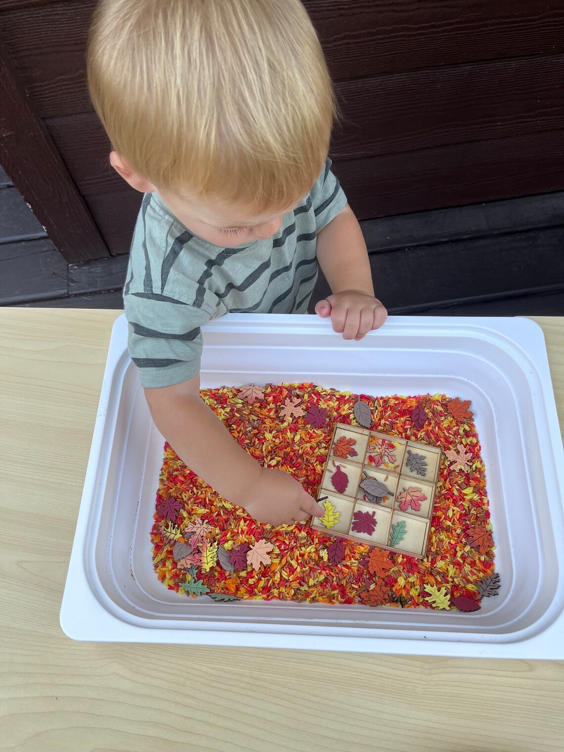 Autumn Matching Sensory Bin - Etsy