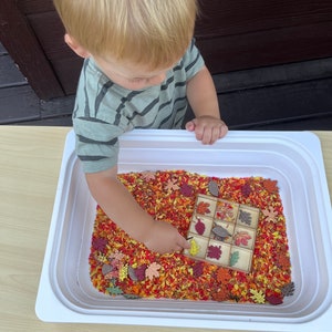 Autumn Matching Sensory Bin - Etsy
