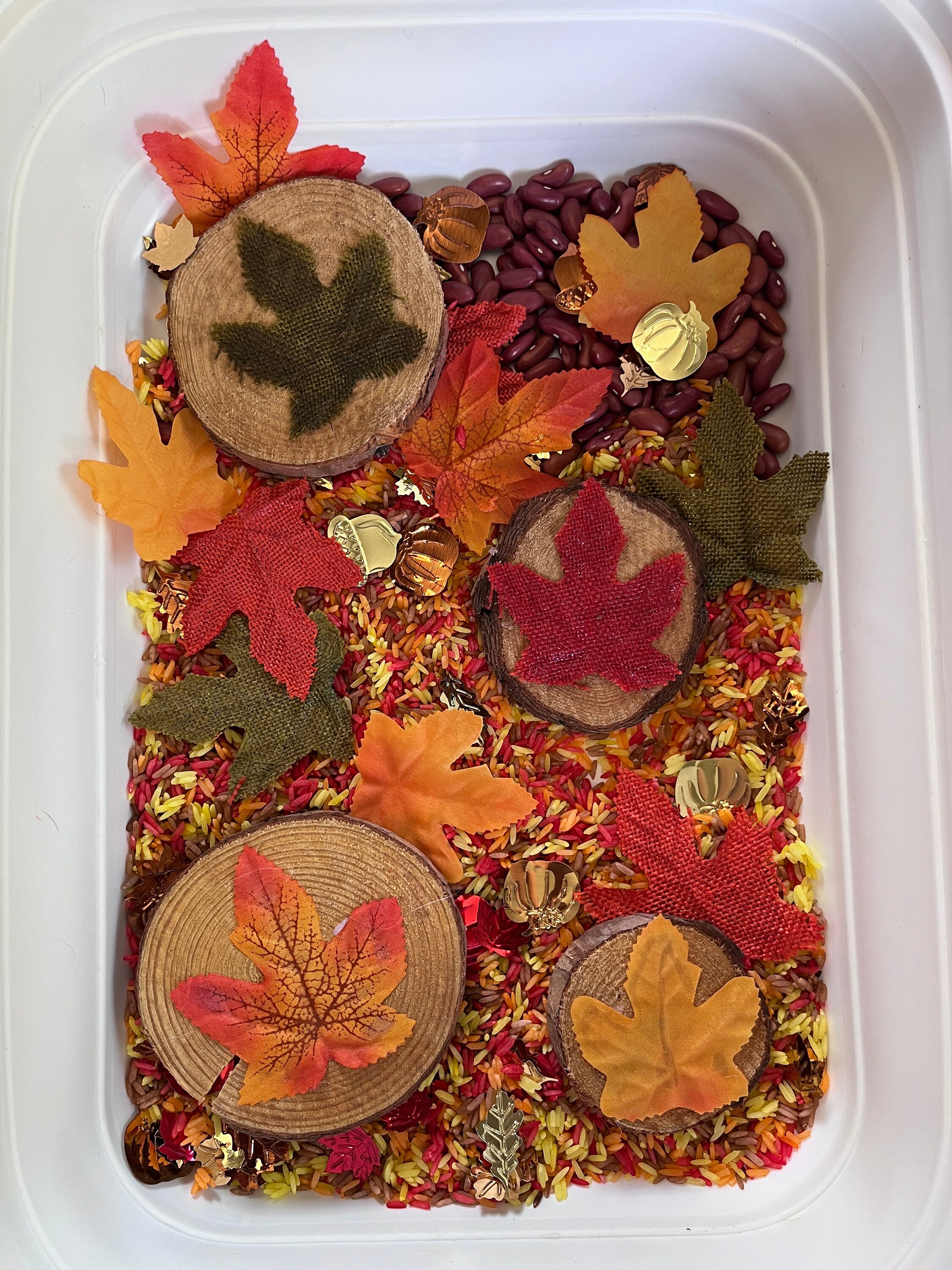 Autumn Discovery Sensory Bin - Etsy