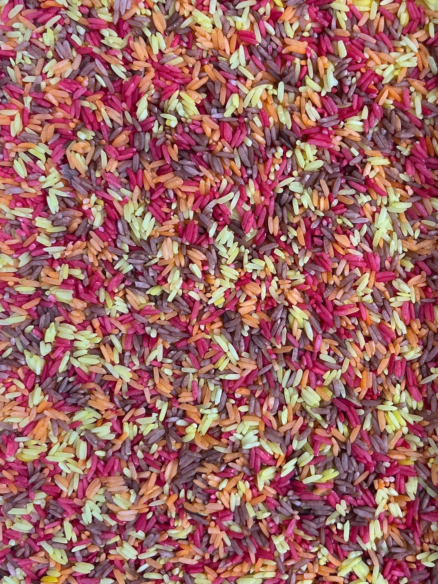 Autumn Matching Sensory Bin - Etsy