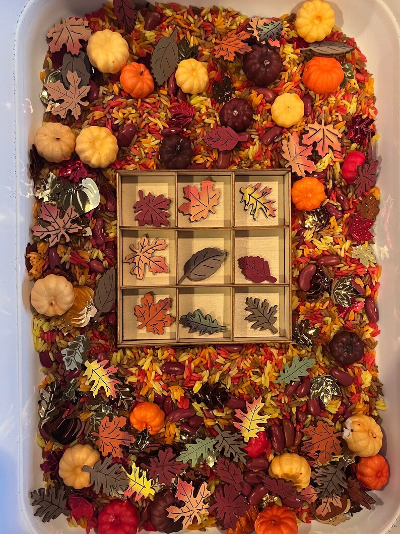 Autumn Matching Sensory Bin - Etsy
