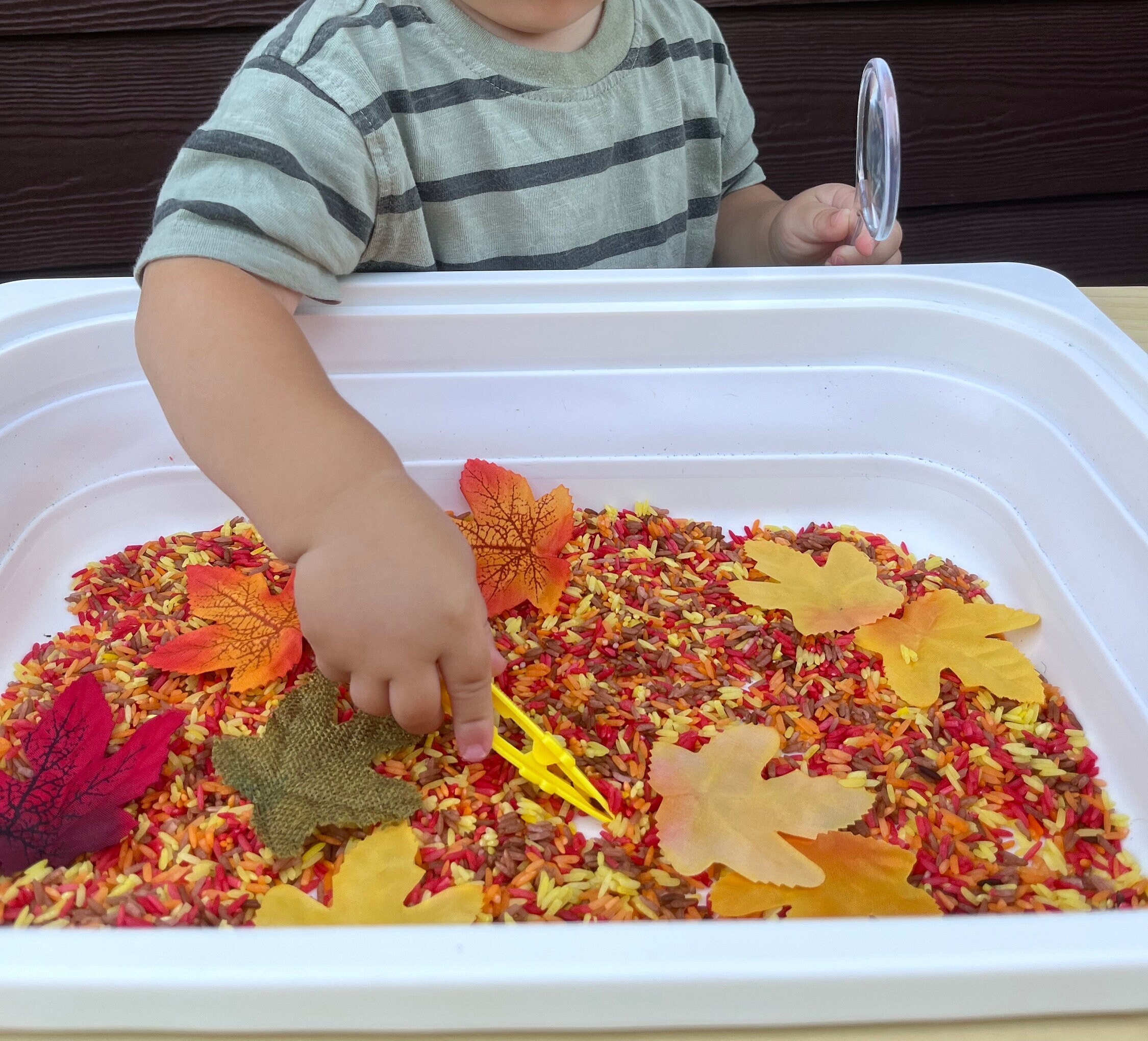Autumn Discovery Sensory Bin - Etsy