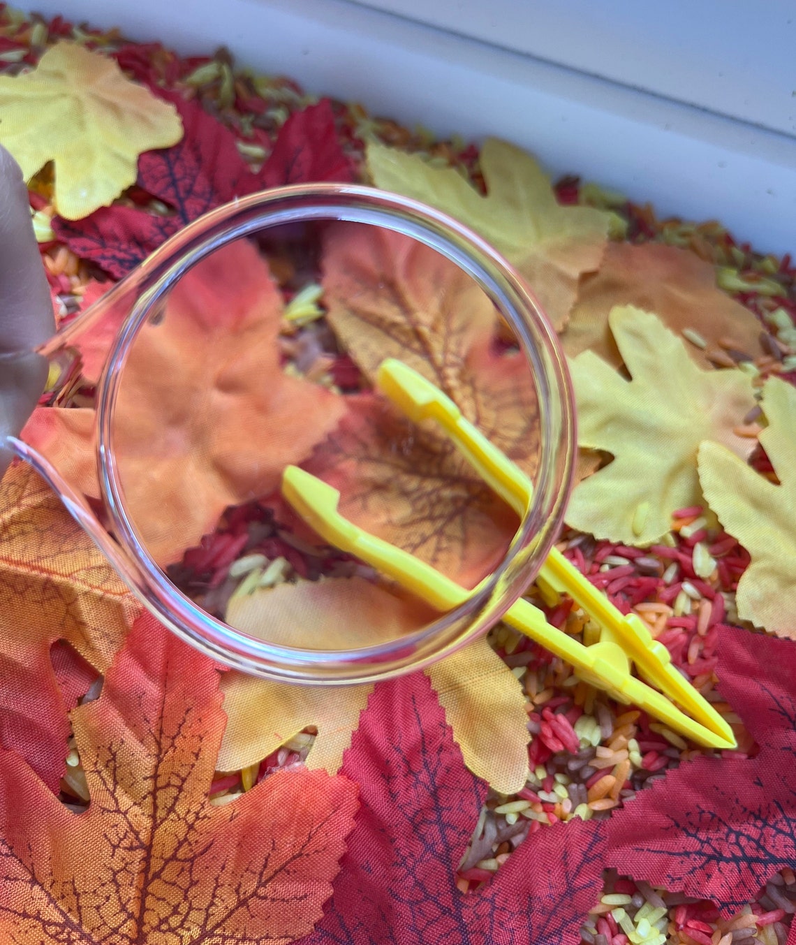 Autumn Discovery Sensory Bin - Etsy